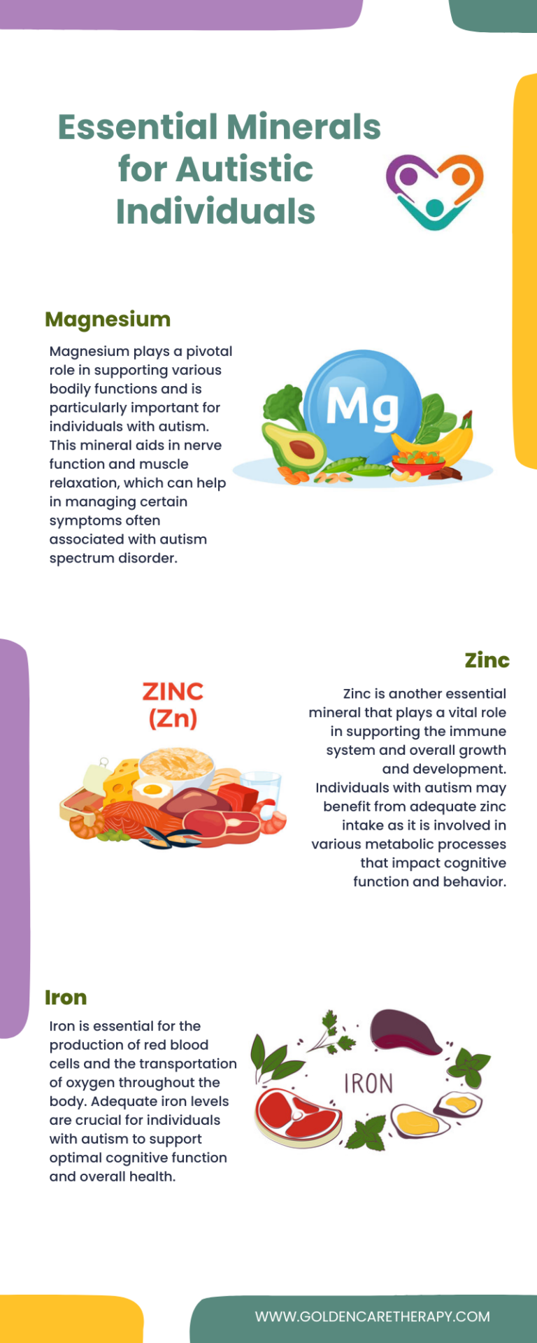 Understanding the Role of Autism Vitamins and Minerals - Golden Care ...