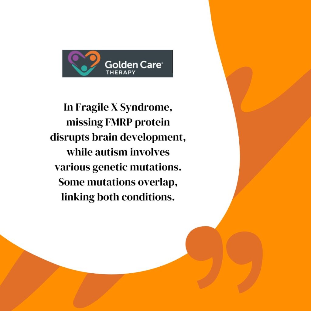 Is Fragile X Syndrome Linked to Autism? - Golden Care Therapy